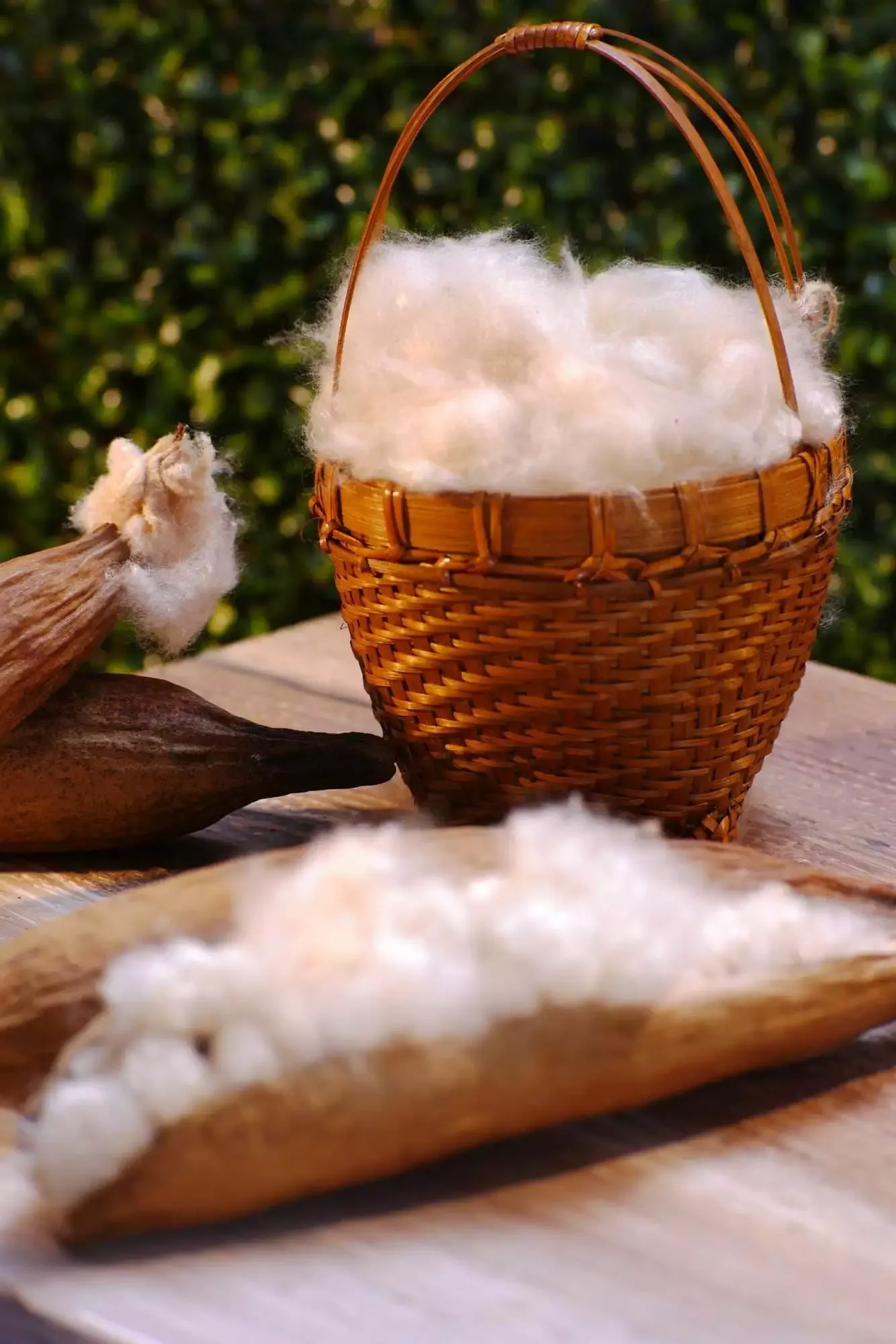 Benefits of Kapok Fibre for Eco-Friendly Products
